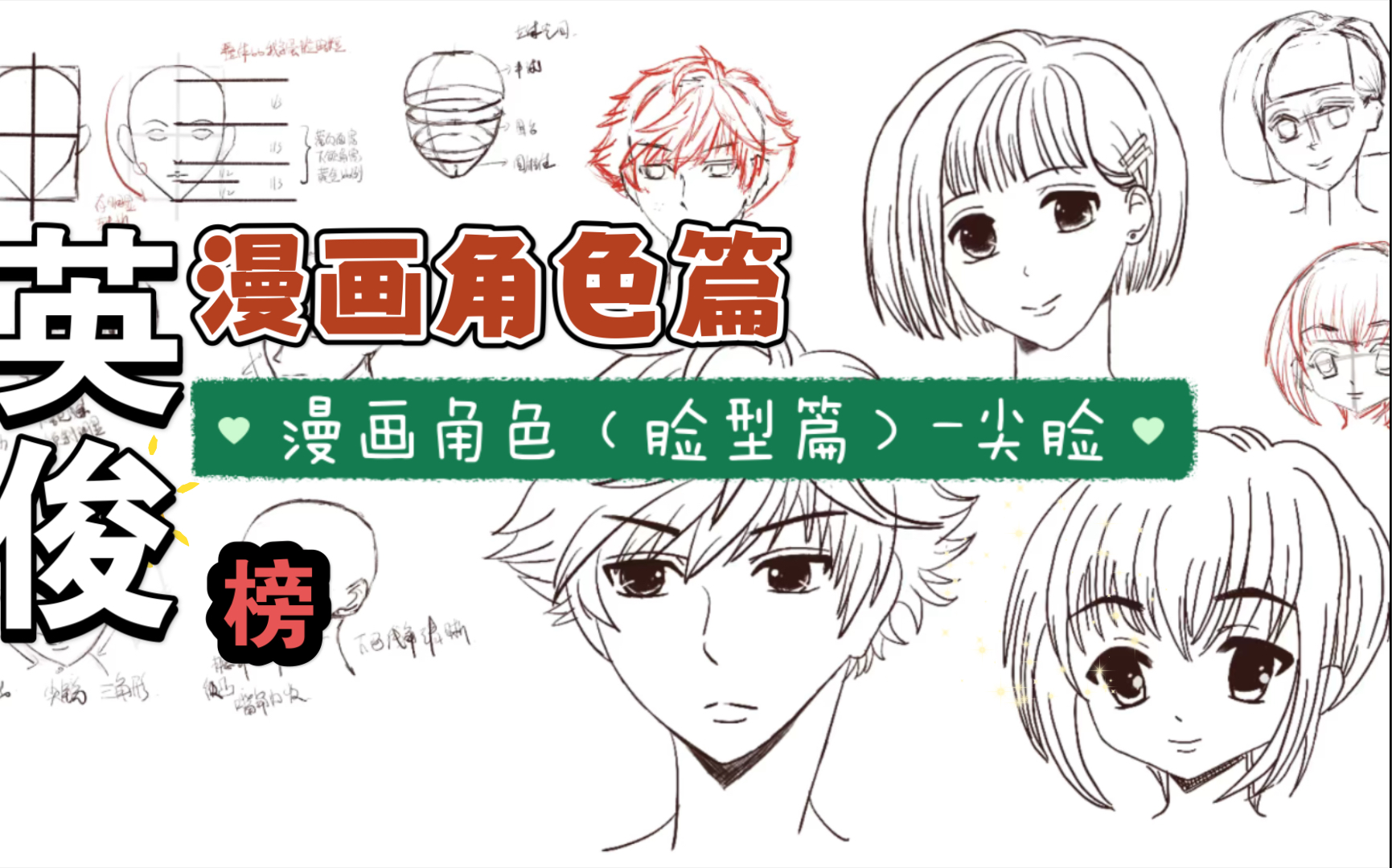 【从基础开始逆袭】角色脸型篇-尖脸or瓜子脸 如何绘制英俊美丽的脸庞