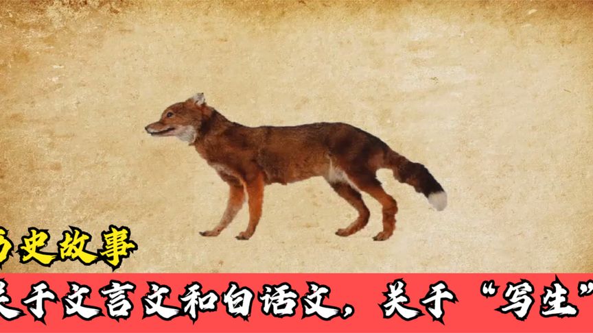 关于文言文和白话文,关于“写生”