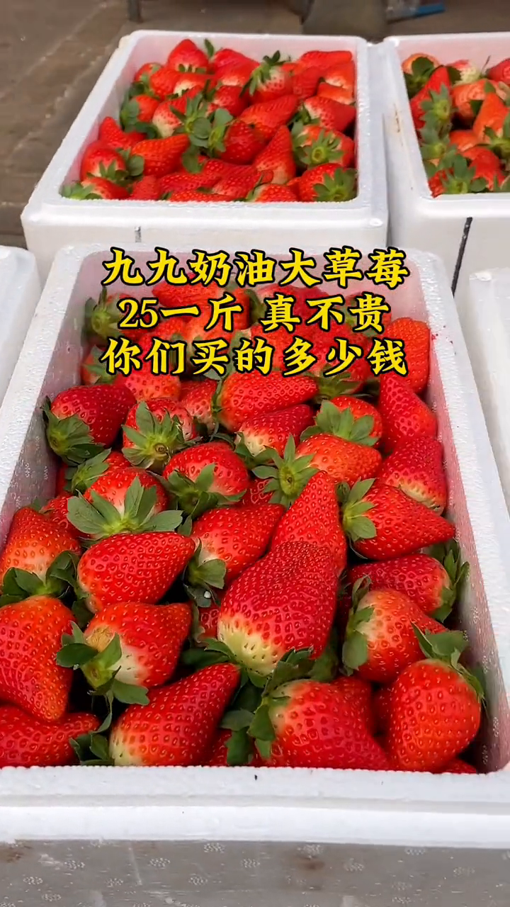 你们买的草莓多少钱一斤啊