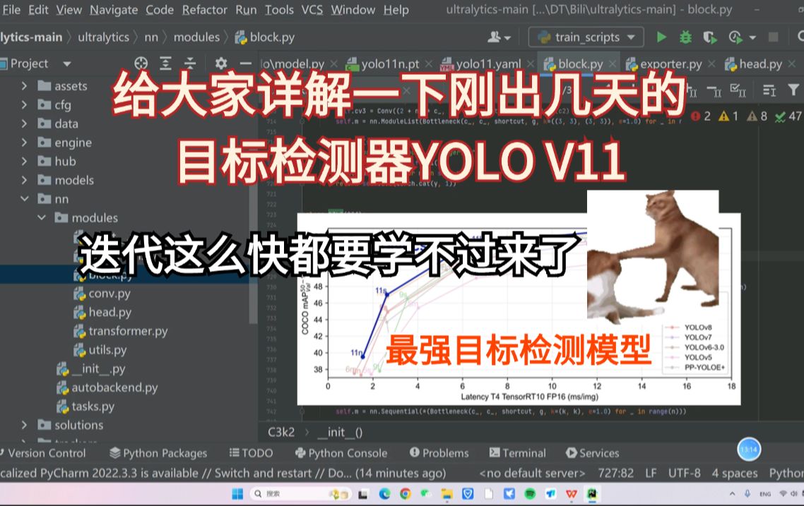 各位国之栋梁们来花20分钟学学最新的YOLO V11目标检测模型!效果...