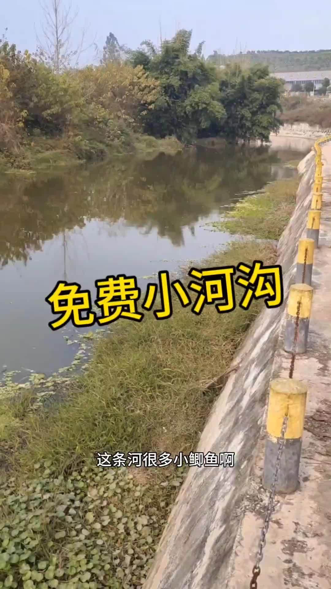 新年第一个位置来了休闲野钓的好位置