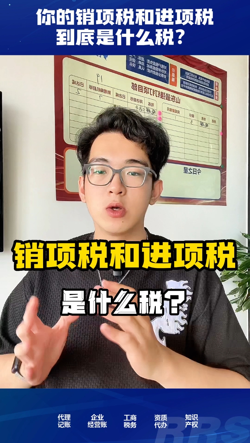 销项税和进项税是什么