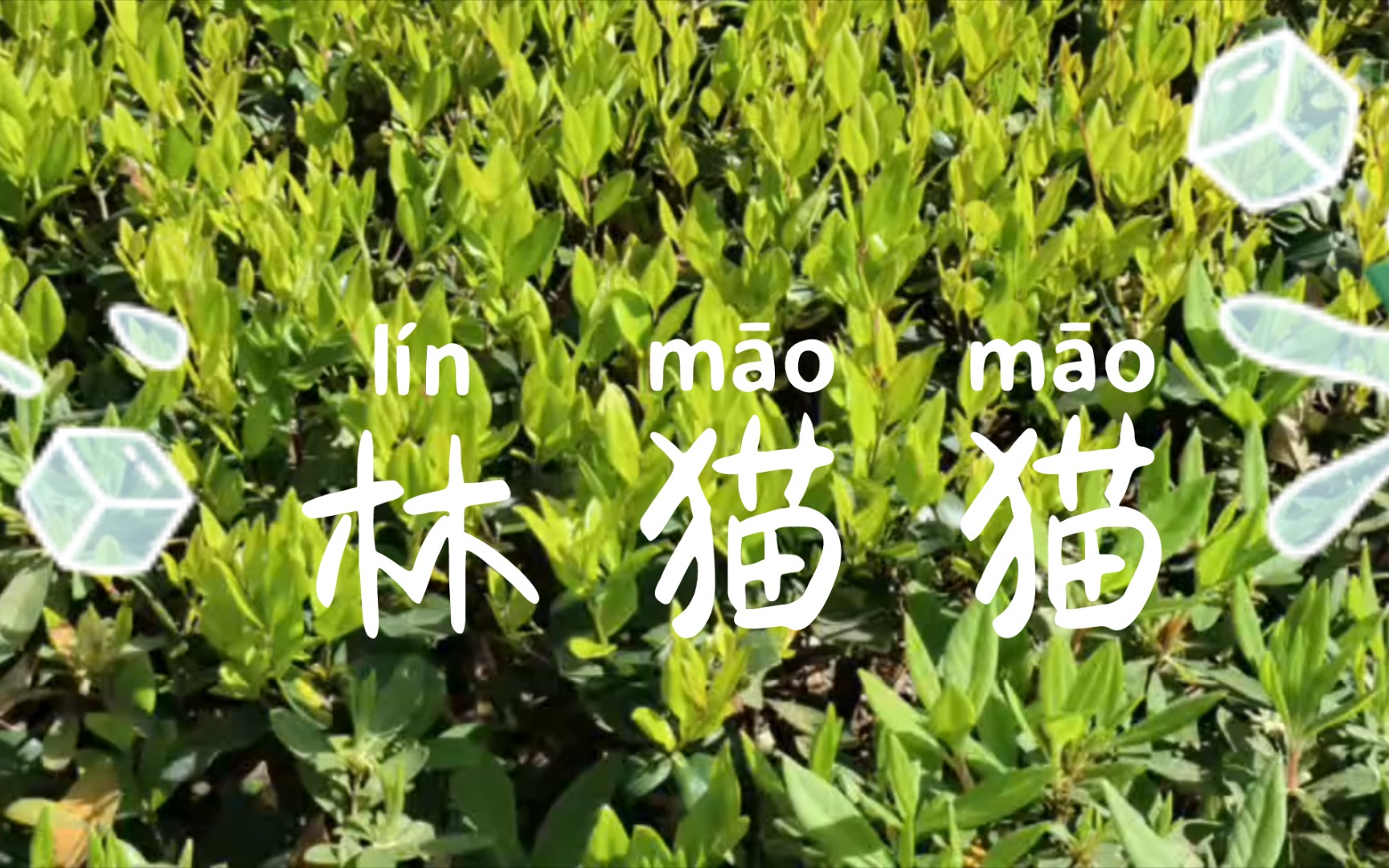 你跟母父是平等的人,合则聚,不合则散,没有上下等级秩序。俩平等的人...