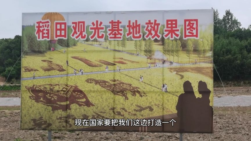 农村发展模式:公司+村集体+合作社,唤醒沉睡资源脱贫走向奔小康