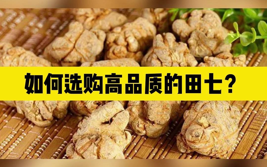 如何选购高品质的田七?三七产地哪里的正宗?
