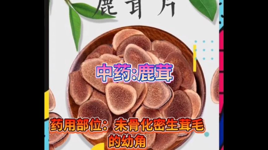 中药:鹿茸的功效与作用。中草药健康知识大全,中草药。