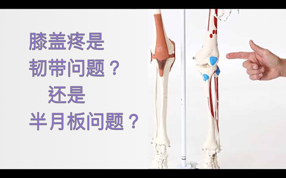 【Bob&Brad】怎么判断膝盖疼是半月板还是韧带的问题