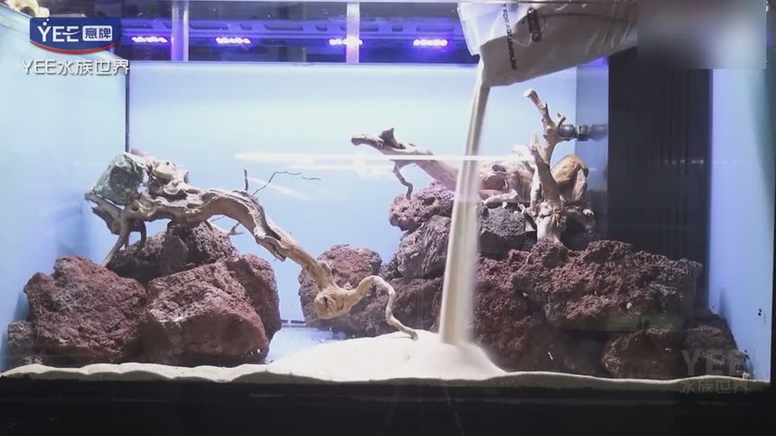 鱼缸造景就这么几步,80cm鱼缸简单造景参考
