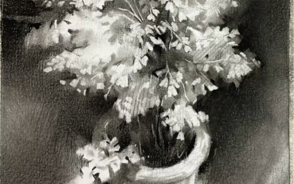绿植的画法,最近正在录制系统的设计素描网课。