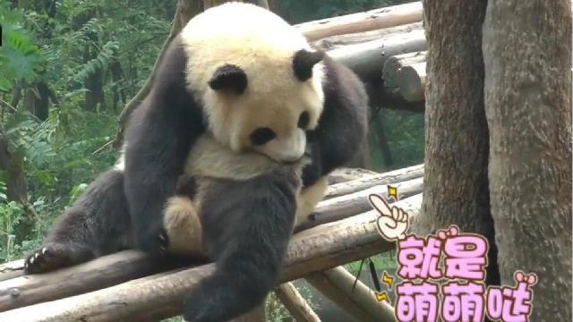 足模挠脚心视频大全