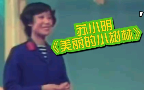 苏小明《美丽的小树林》群星璀璨演唱会