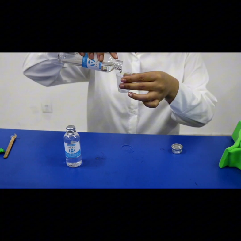 制作植物细胞模型