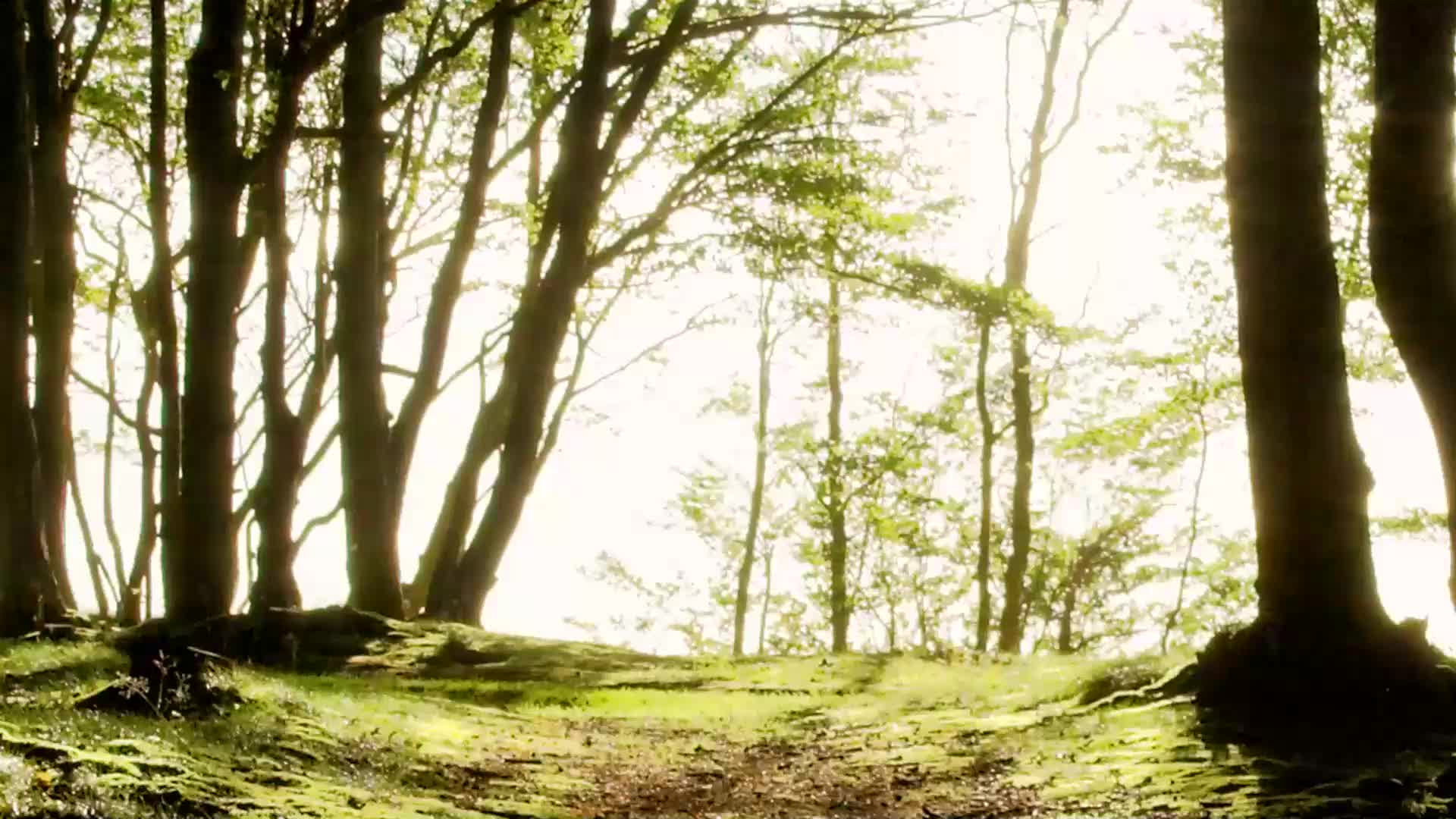 给摄影师的审美必修课-g