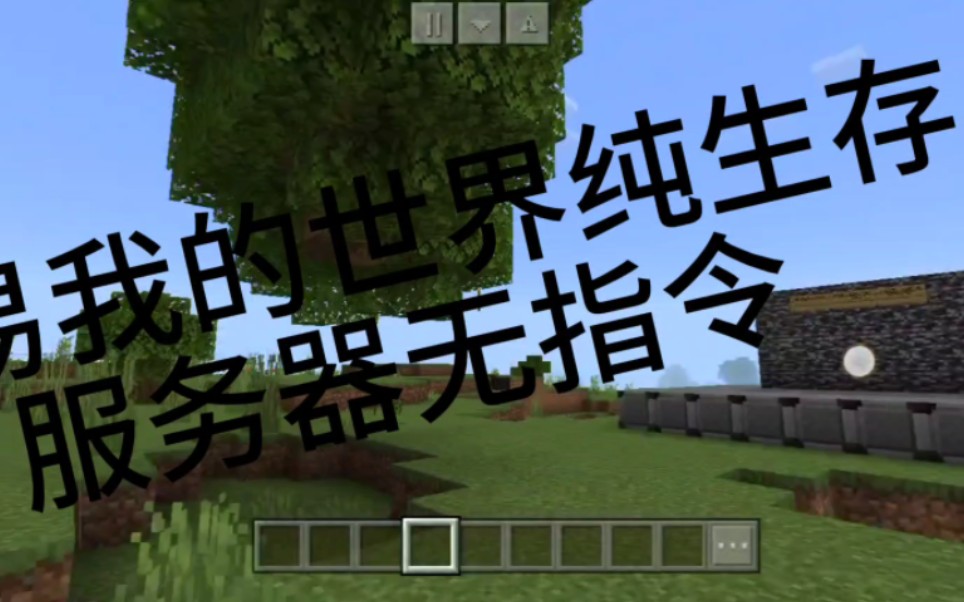 网易我的世界纯生存服务器,无指令_哔哩哔哩bilibili_我的世界