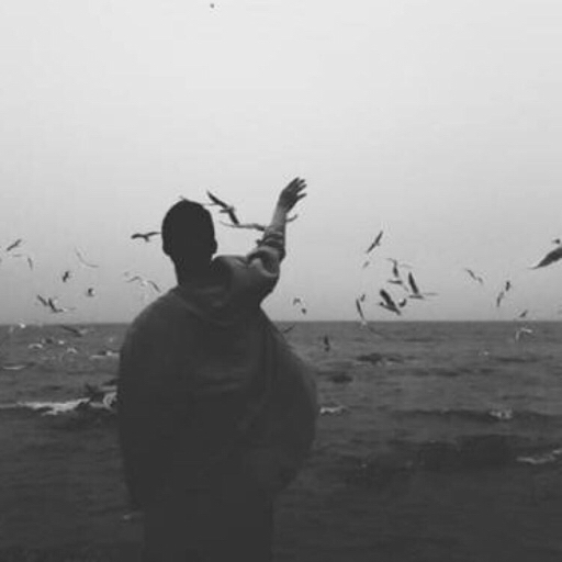 超级无敌大靓仔柏 