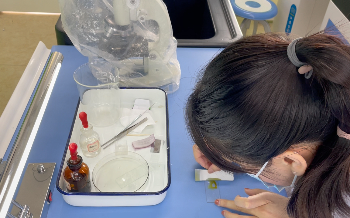 沉浸式实验教学-观察并制作洋葱鳞片内表皮细胞临时装片