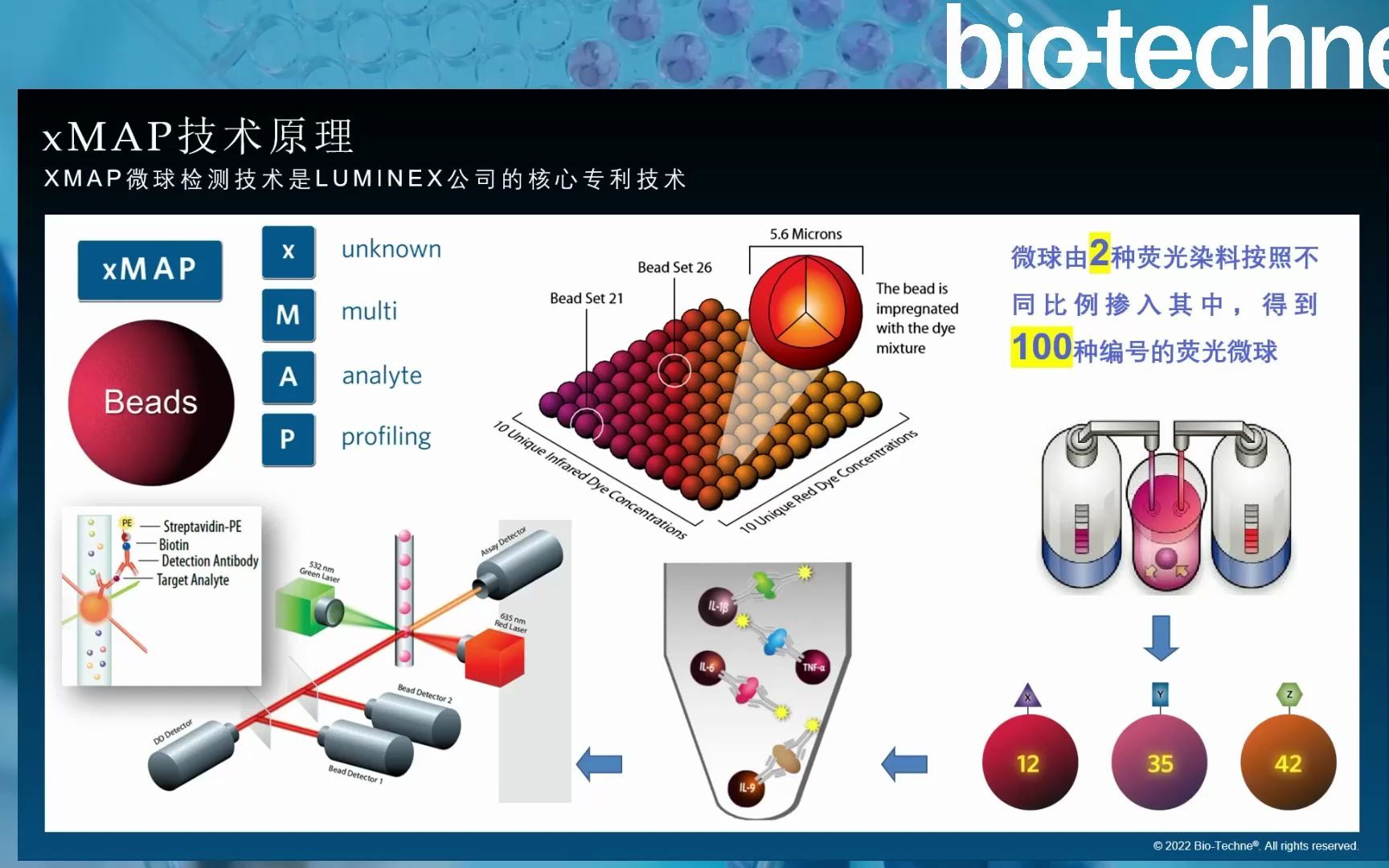 Luminex蛋白多因子检测技术:原理、流程及应用