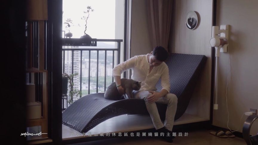 设计师亲自打造的猫房是什么样的,铲屎官一定要看到最后