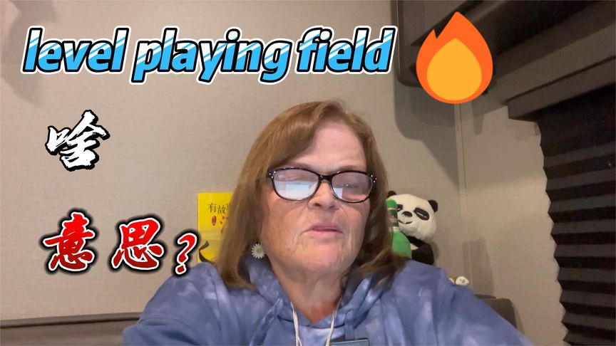 level playing field是什么意思?