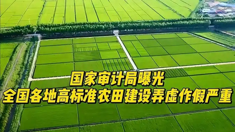 触目惊心!国家审计局曝光:全国各地高标准农田建设弄虚作假严重