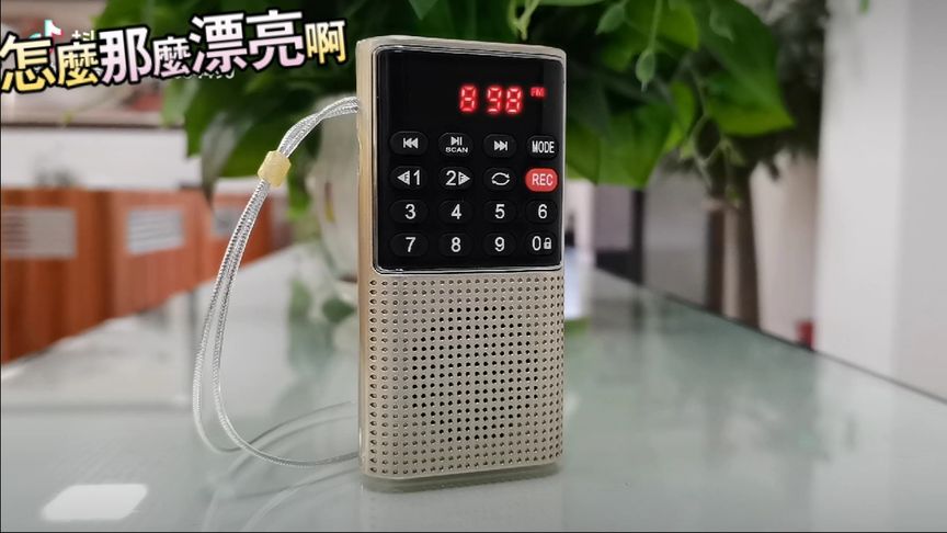 快乐相伴L-328 小录音机 插卡音箱 FM收音机 老年人播放器 便携式