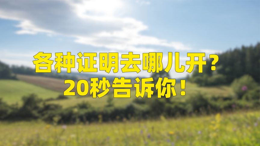 各种证明去哪儿开? 20秒告诉你!