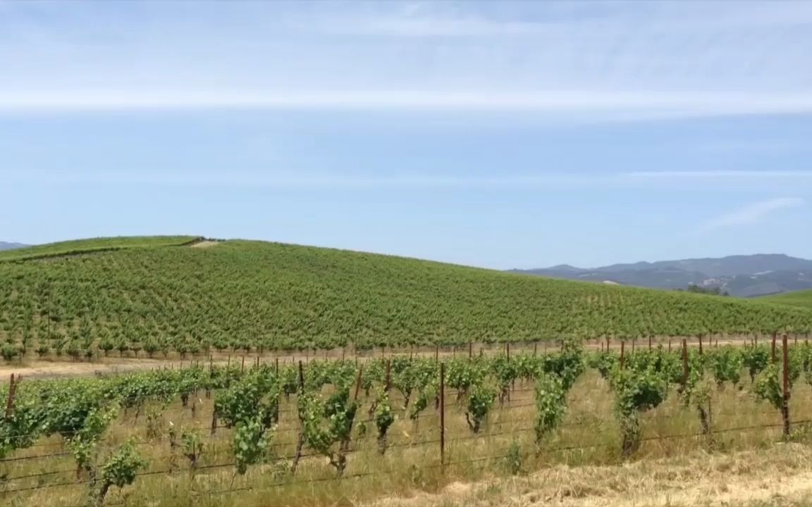 Windows XP