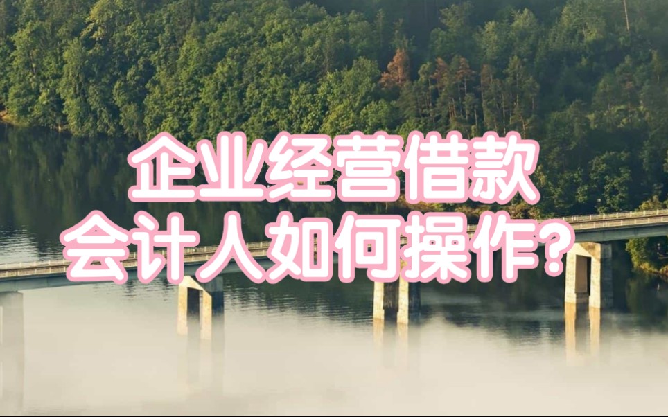 实务!企业经营借款,借款费用如何确认与核算处理?