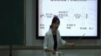 高二生物《减数分裂和受精作用》教学视频(福建省高中生物名师网络...