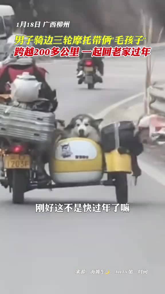 男子骑边三轮摩托带俩"毛孩子",跨越200多公里回老家过年