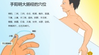 中医经络穴位全脑速记——十二正经(二)手阳明大肠经