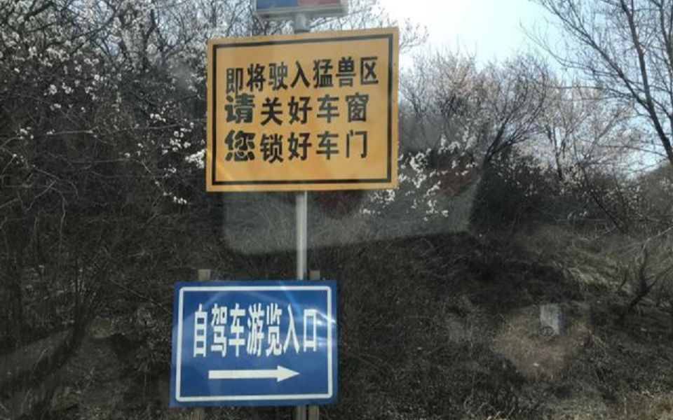 一家三口游览八达岭野生动物园,差点没让进,好在带了点现金