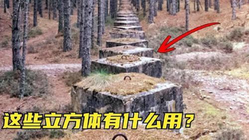 6个你猜不到用途的物品,知道森林中的混凝土立方体有什么用途吗