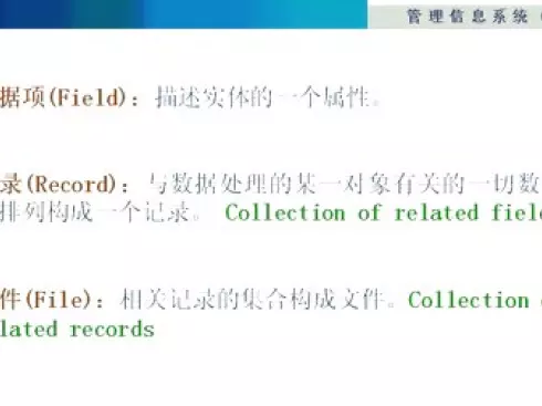 管理信息系统 (11)