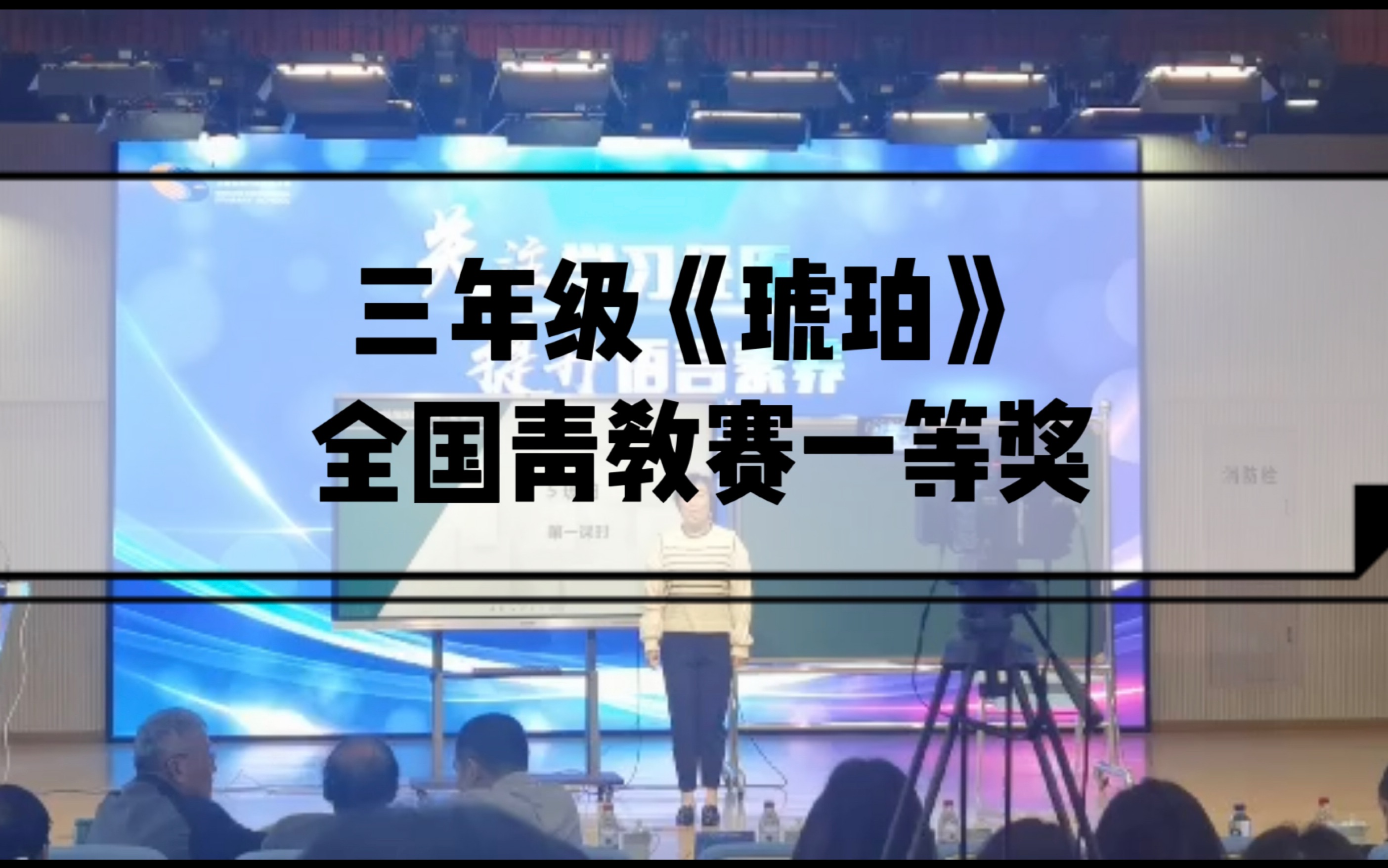 ...全国一等奖 三年级《琥珀》模拟课堂实录 自用 上海汇师小学 严琴老师