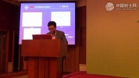 文峰:港珠澳大桥桥梁钢管复合桩基础设计与研究---中国岩土网