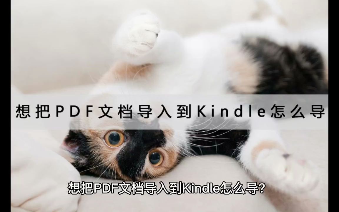 想把PDF文档导入到Kindle怎么导?先转换成电子书格式