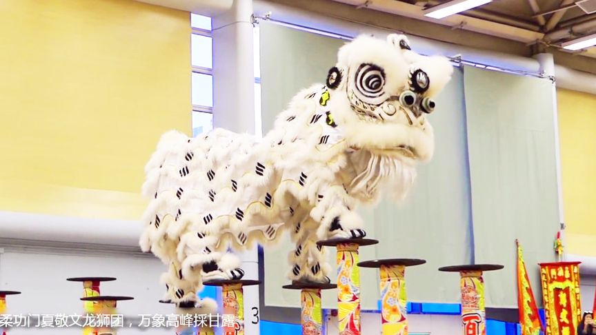 专业舞狮表演欣赏,精彩舞狮比赛视频