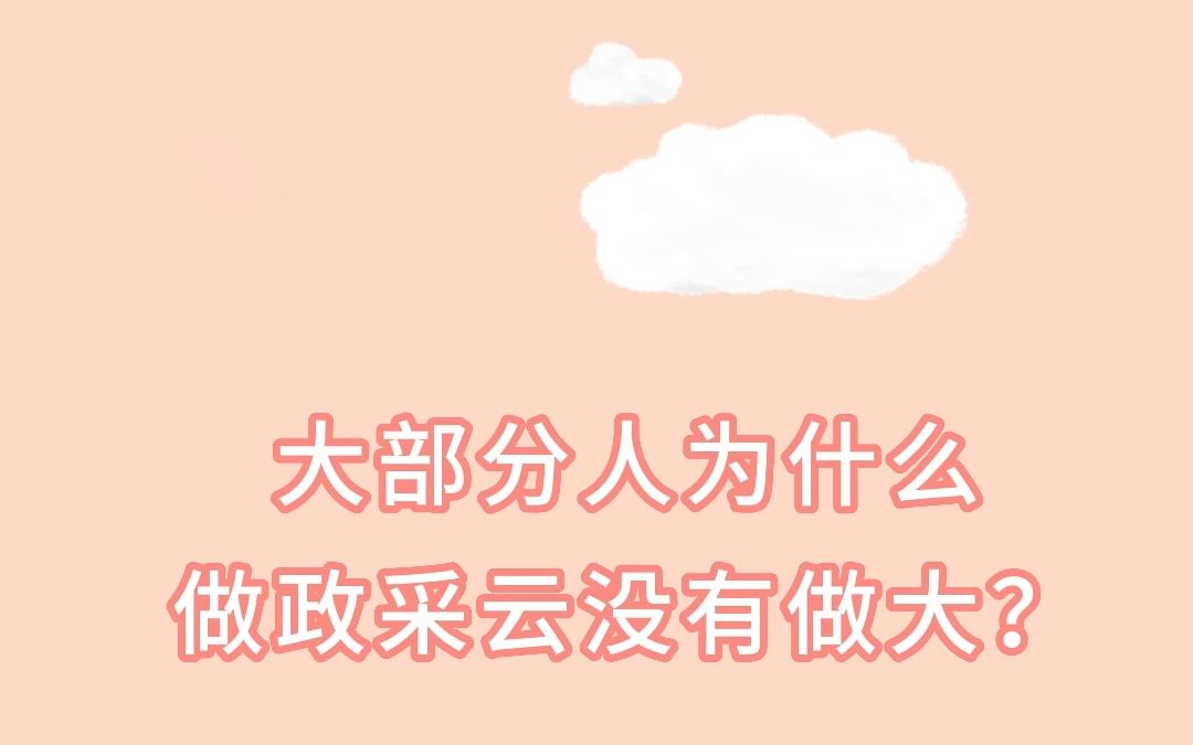 大部分人为什么做政采云没有做大?