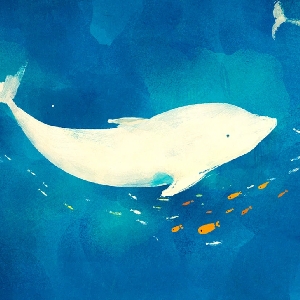 好名字别人也记不住你 