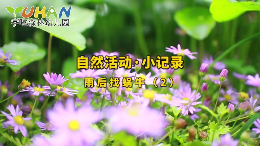 宇晗森林幼儿园 自然活动小记录#宇晗森林幼儿园