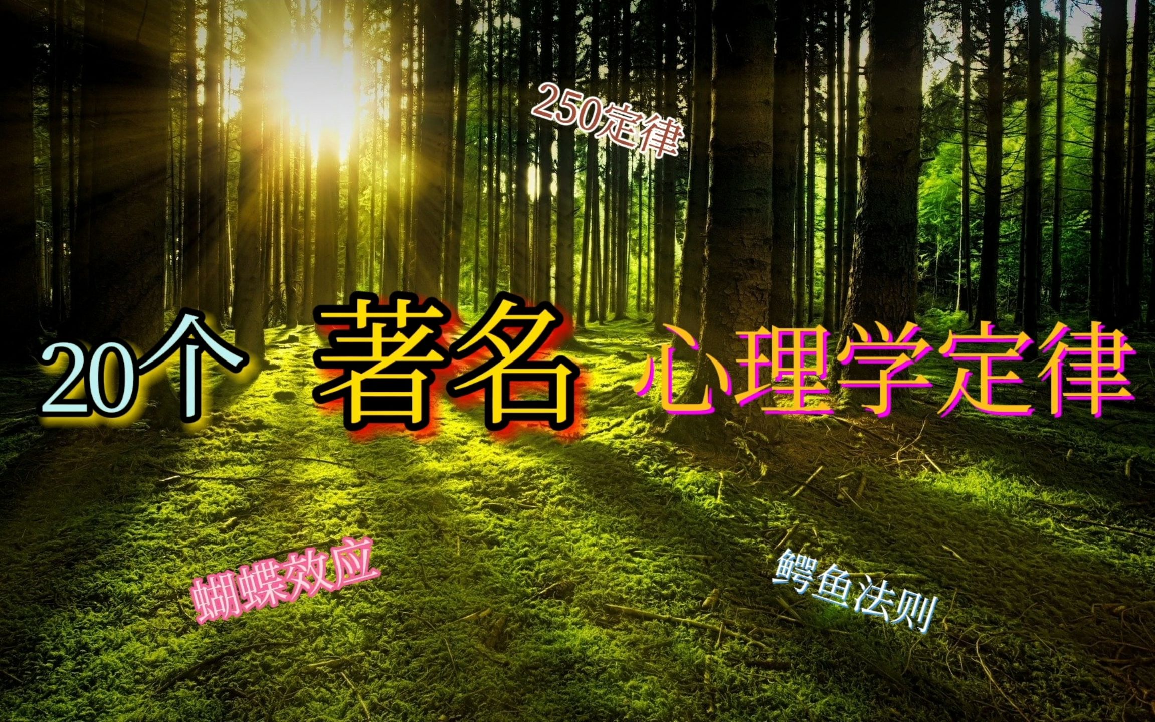 20个著名心理学定律