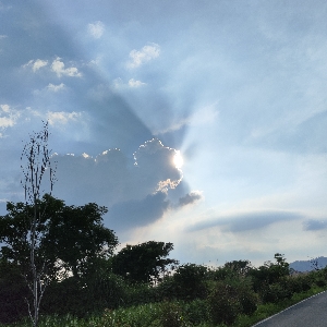 逅谱 