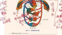 初中科学九上生物血液循环过程和药物运输易错讲解
