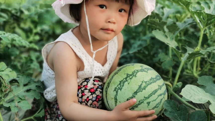 西瓜视频看种西瓜