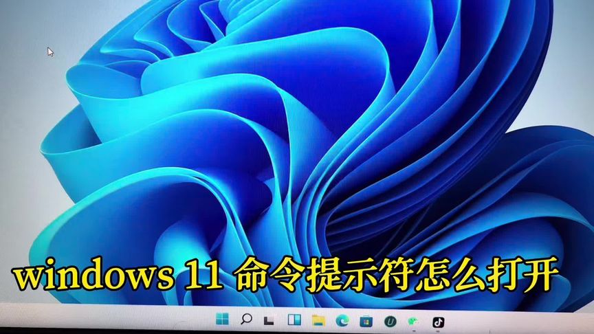 windows 11 命令提示符怎么打开#电脑知识 #电脑爱好者#创业者