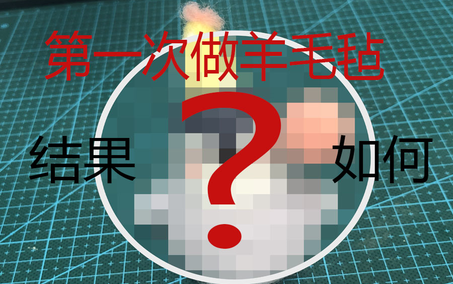 【羊毛毡】第一次做羊毛毡.结果如何?
