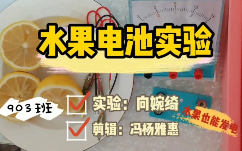 初中物理水果电池实验