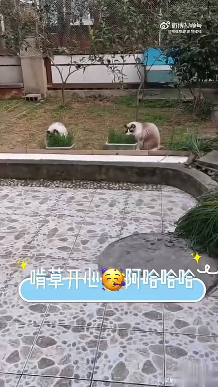 叮叮咚咚的幼儿园时光