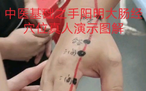 中医基础之手阳明大肠经穴位真人演示图解